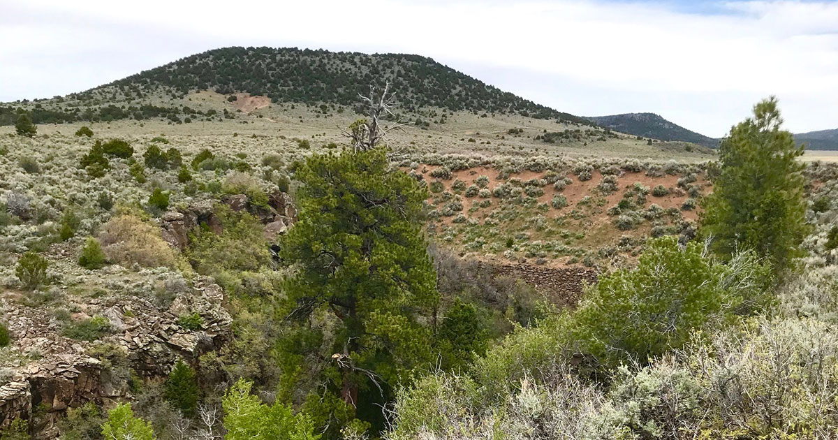 RFP for Spring Hollow Trail Construction Phase 2 | Washington County of ...